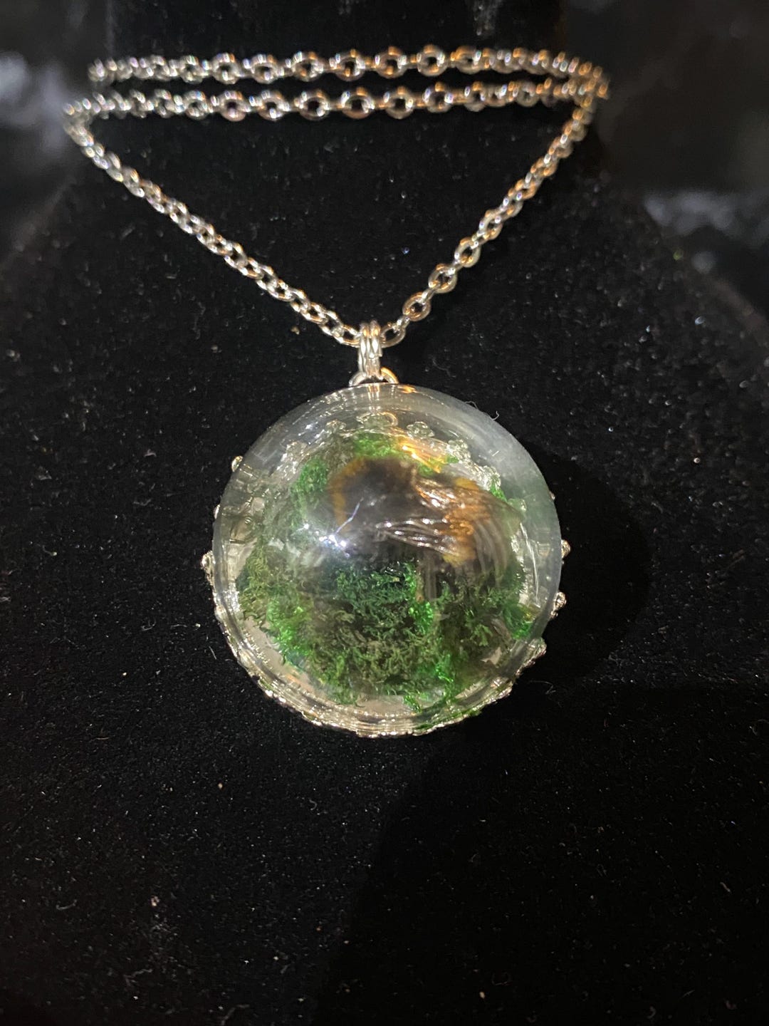 Real Bumblebee & Moss Silver Necklace: Glass Enclosure Pendant - Etsy