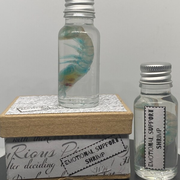 Wet Specimens - Etsy