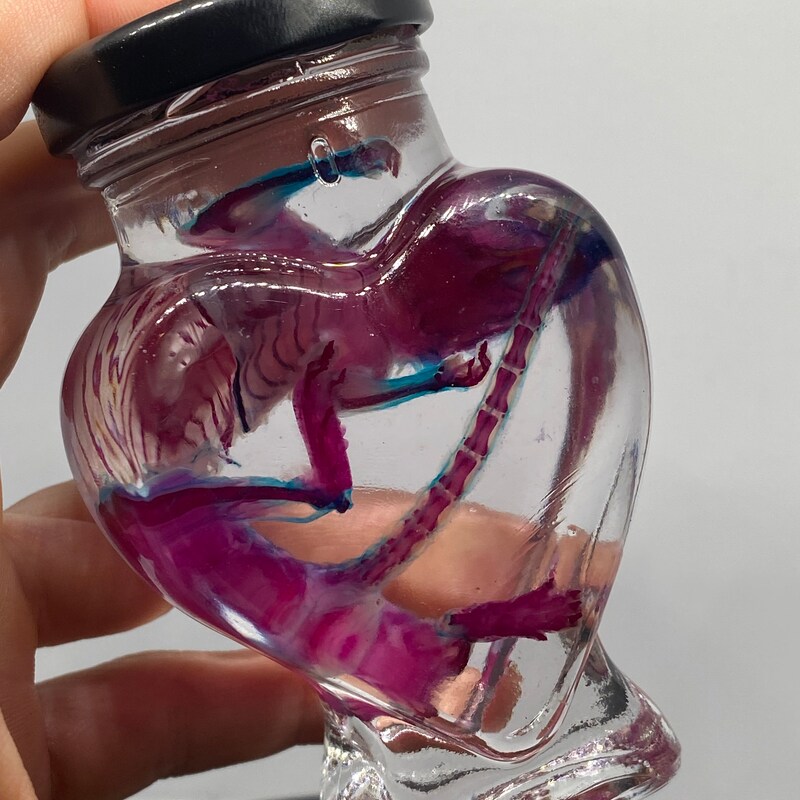 Diaphonization - Etsy