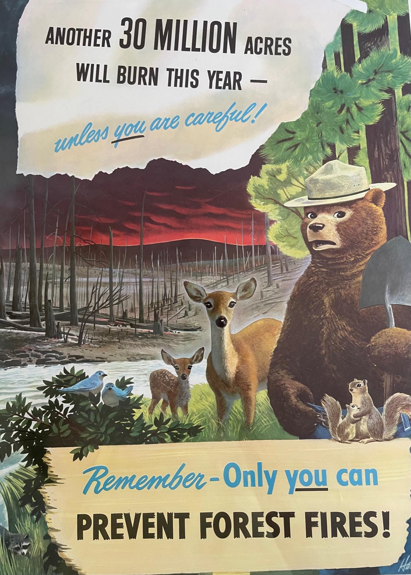 Rare 1949 Vintage Original Smokey the Bear Large 18 X 26 Fire ...