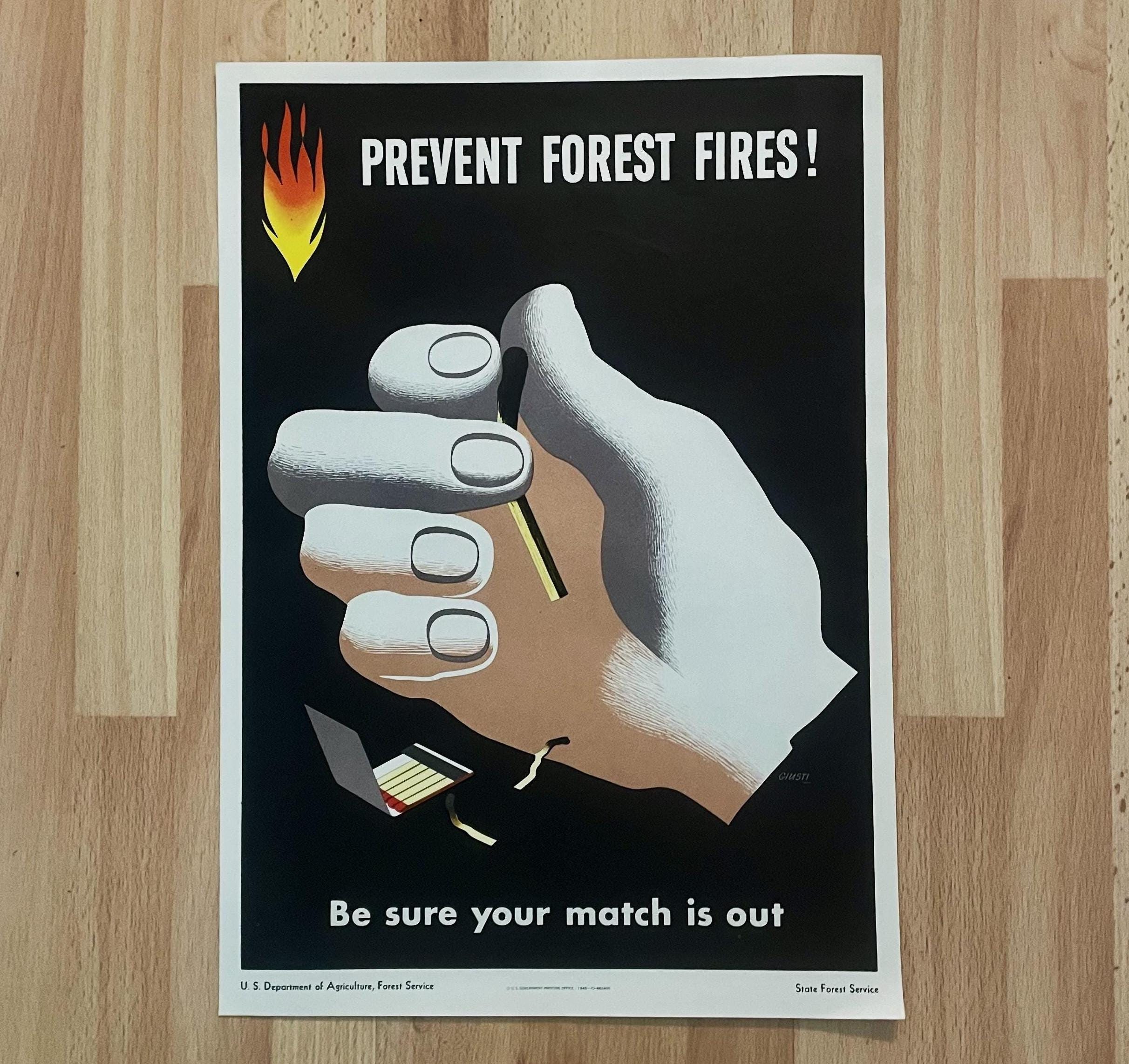 Rare Original 1945 WWII WW2 War Poster Forest Fire Prevention USDA ...