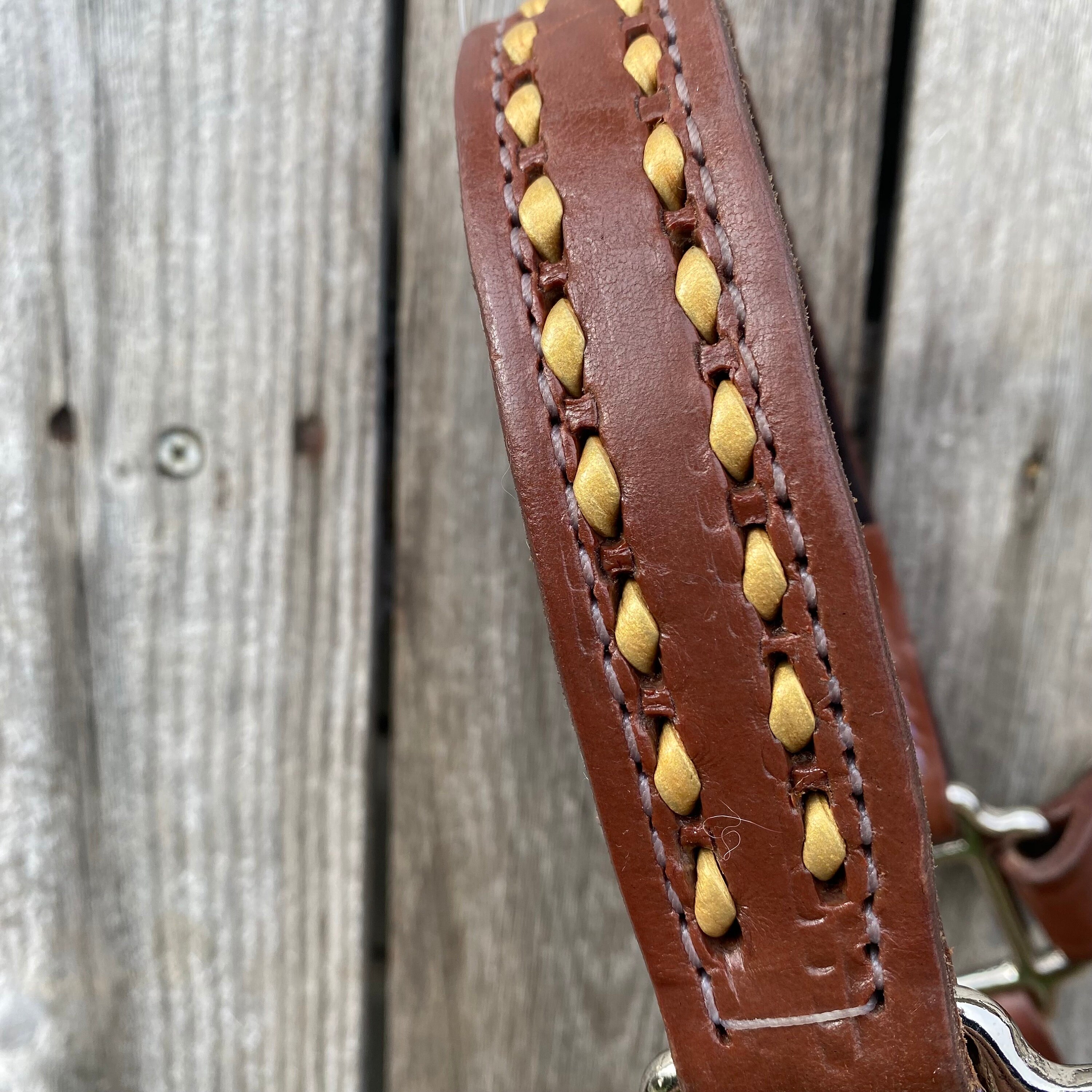 Gold Turquoise Buckstitch Leather Horse Halter - Etsy