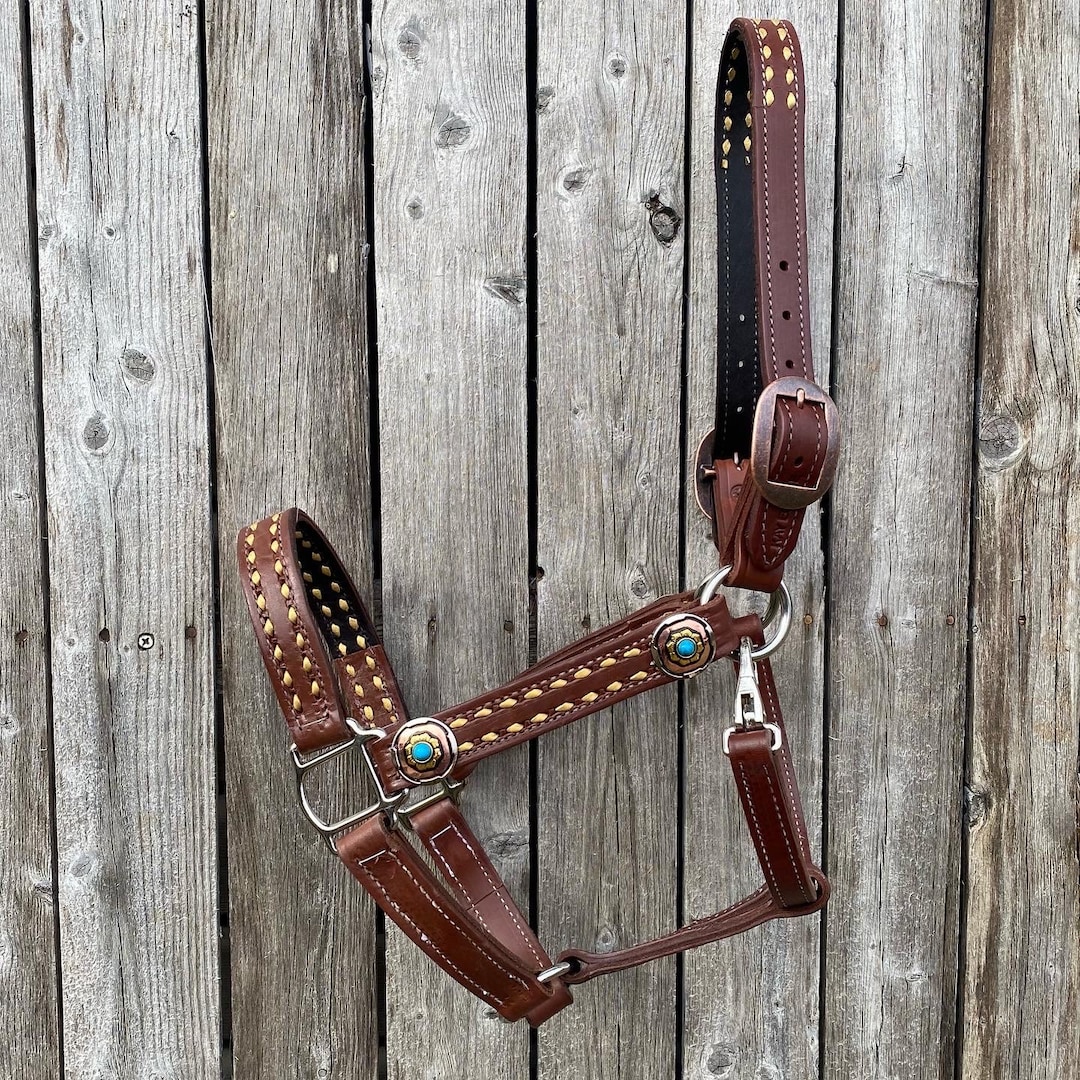 Gold Turquoise Buckstitch Leather Horse Halter - Etsy