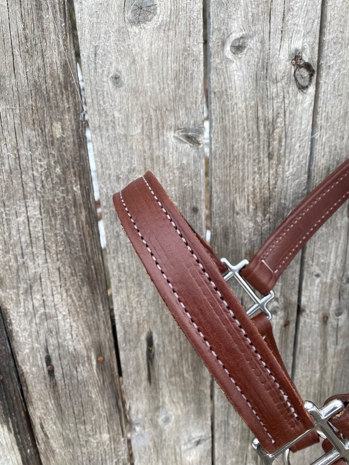 High Quality Leather Halter Handmade Nickel Buckle - Etsy