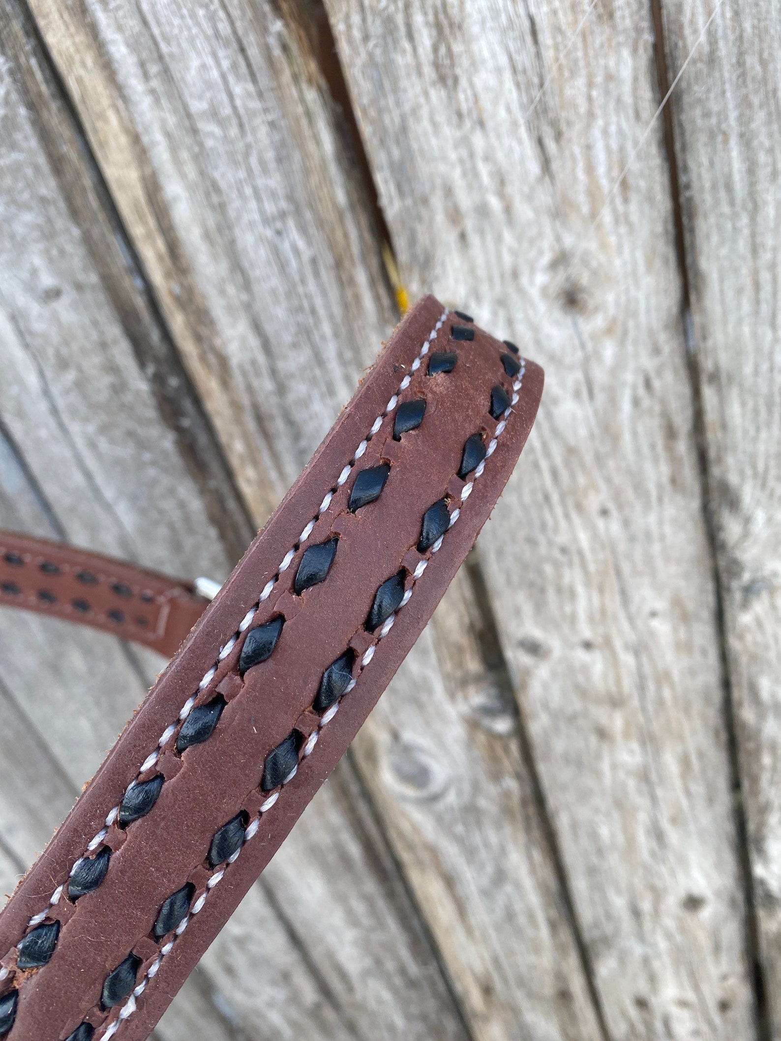 Black Buckstitch Leather Halter - Etsy