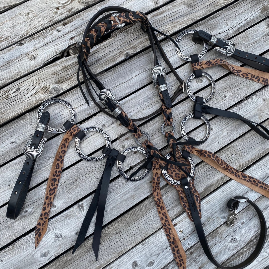 Cheetah Ring Tack Set Headstall Breast Collar - Etsy