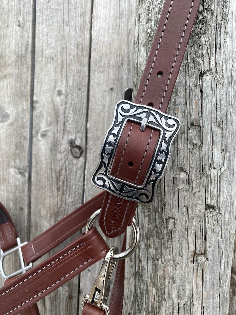 High Quality Leather Halter Handmade Nickel Buckle - Etsy