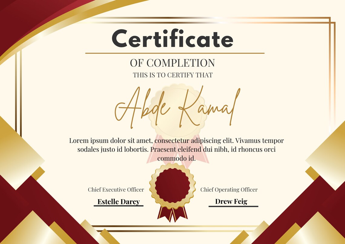 Editable Training Certificate Template, Printable Certificate of ...