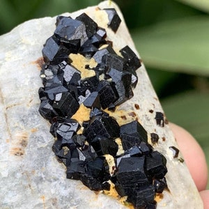 Rare Black Andradite Crystals Bunch Sitting on Albite Combine Specimen ...