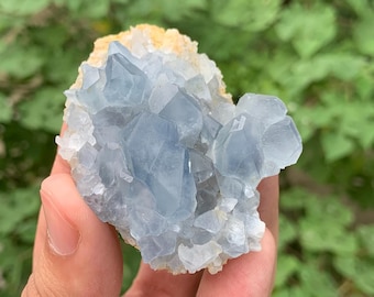 Rich Blue Celestine Crystals Cluster Having Wet-lustre Specimen From ...
