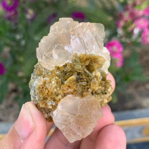 Rare Pink Fluorite Terminated Crystal Having Sharp Lustre on Muscovite ...