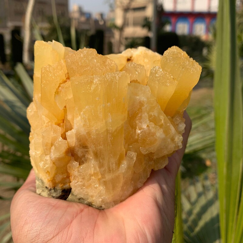 Yellow Aragonite - Etsy