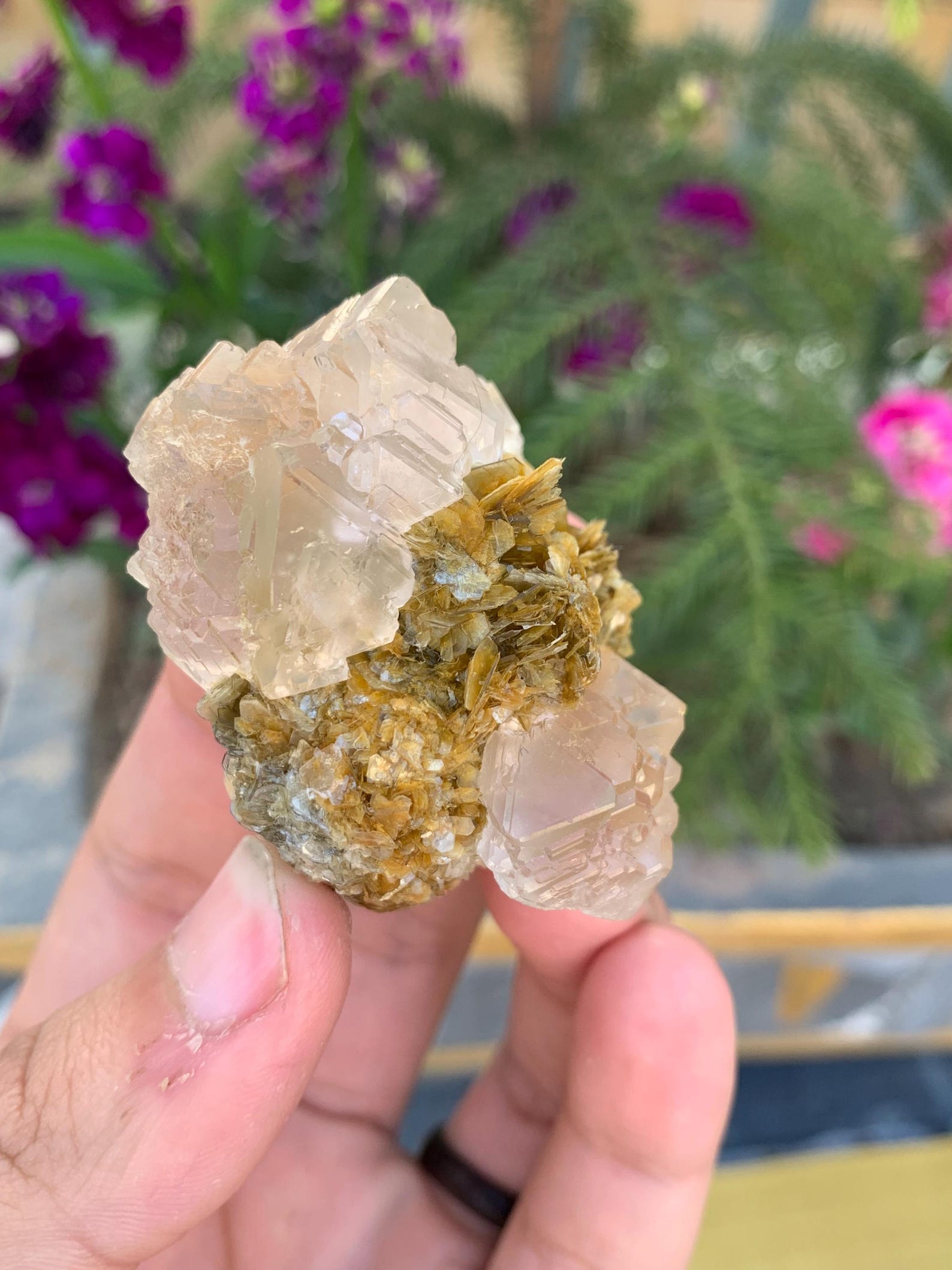 Rare Pink Fluorite Terminated Crystal Having Sharp Lustre on Muscovite ...