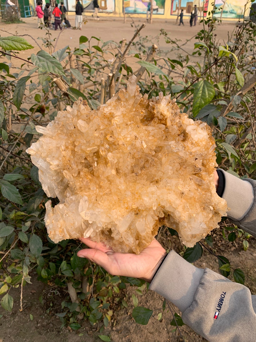 Quartz Crystals Cluster Gint Plat With Golden Iron on Suface of ...