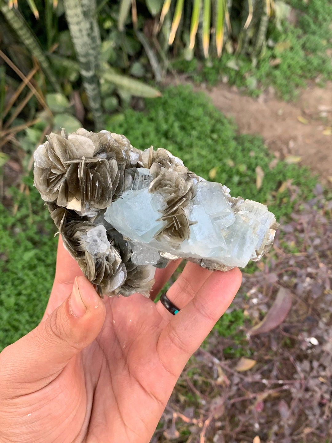 Blue Aquamarine Terminated Crystals With Muscovite Flowers / Bunches on ...