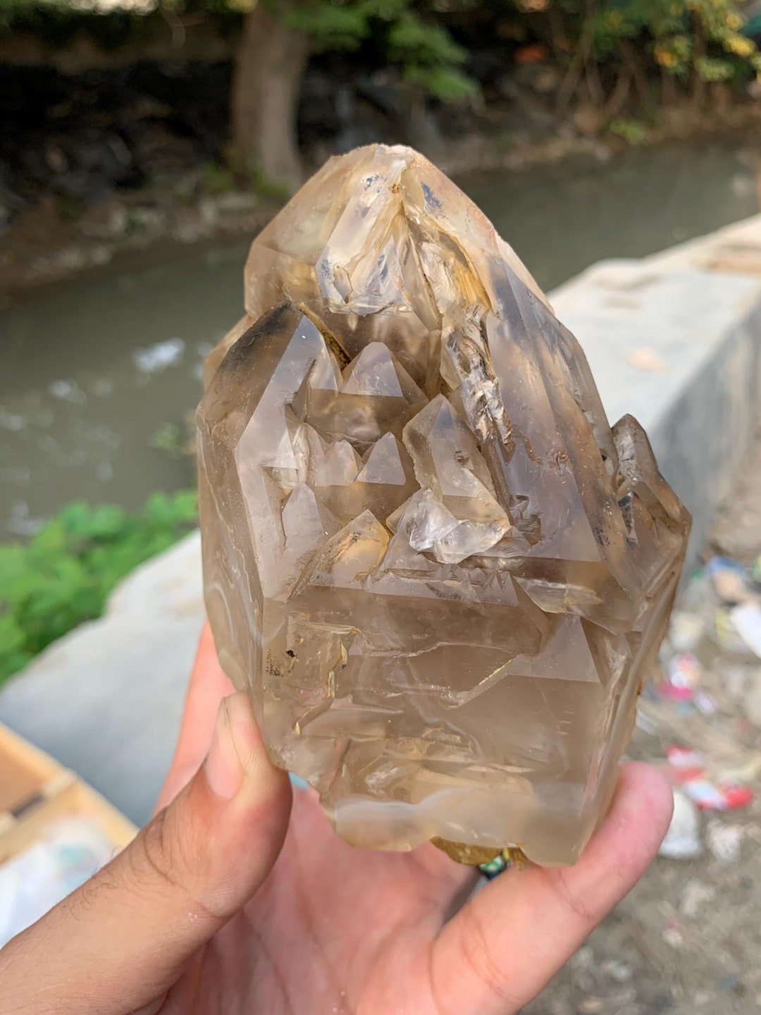 Smokey Skeletal / Elestial / Window Quartz Sceptre Crystal Having ...