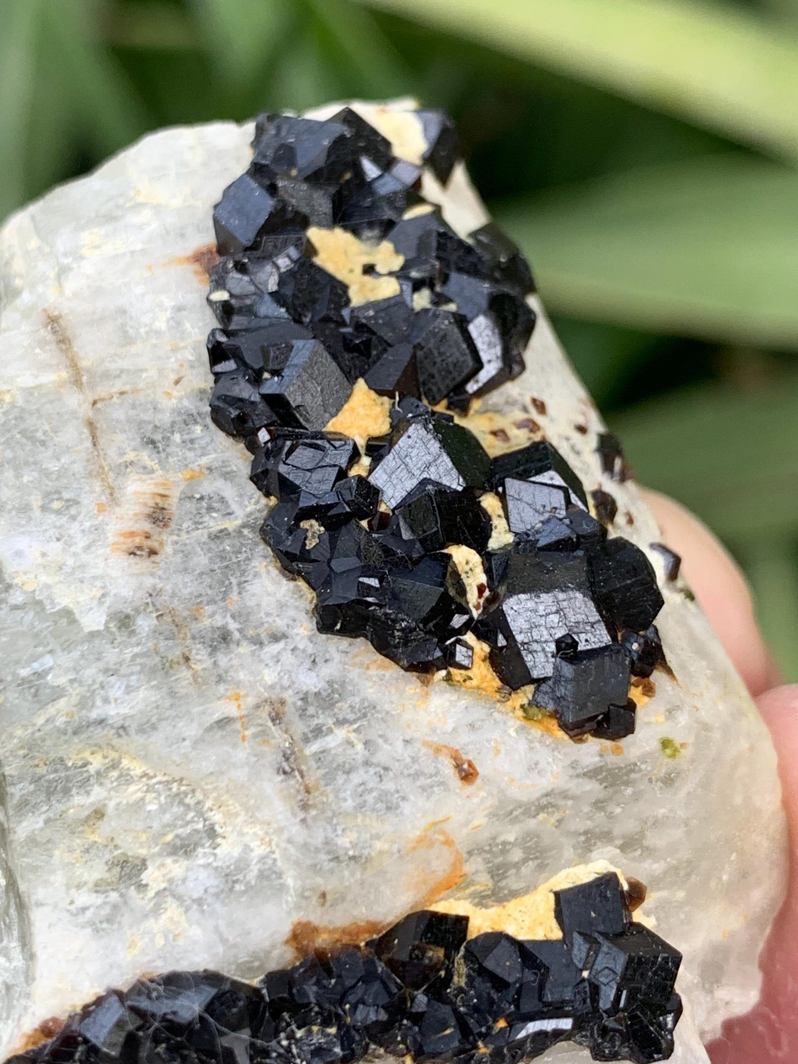 Rare Black Andradite Crystals Bunch Sitting on Albite Combine Specimen ...