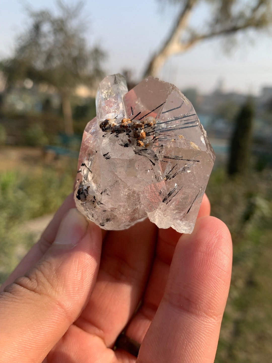 Natural Black Rutile Quartz Crystal Specimen From Pakistan - Etsy