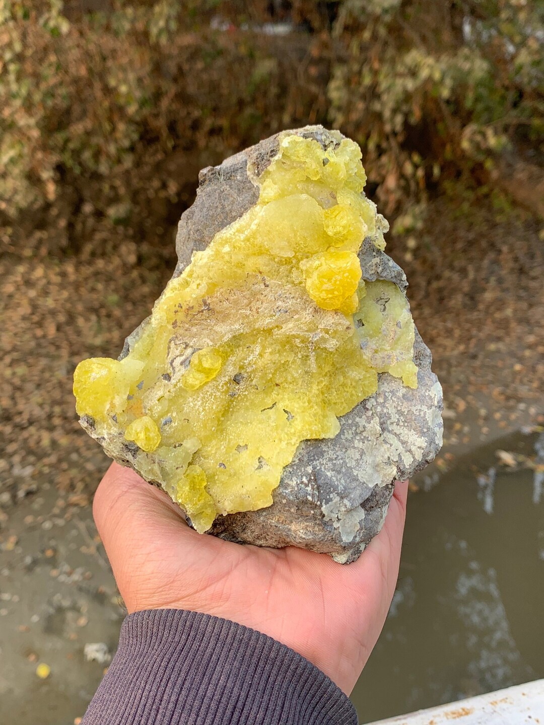 Rich Yellow Brucite Botryoidal Bubbly Crystals on Matrix From ...
