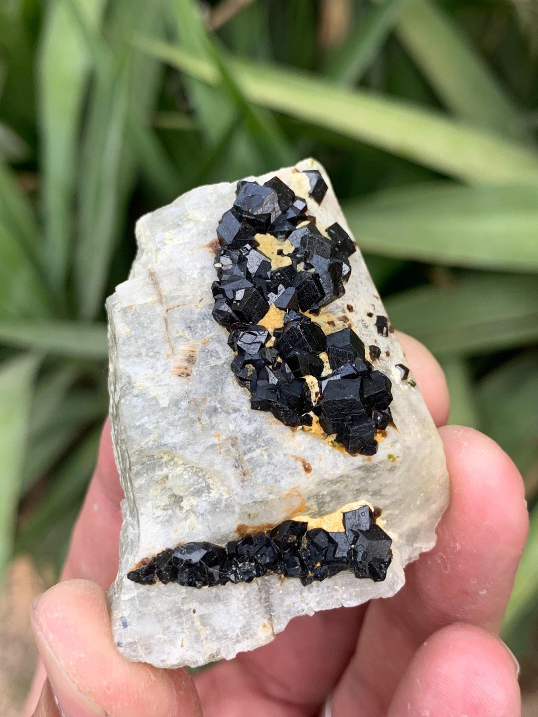Rare Black Andradite Crystals Bunch Sitting on Albite Combine Specimen ...