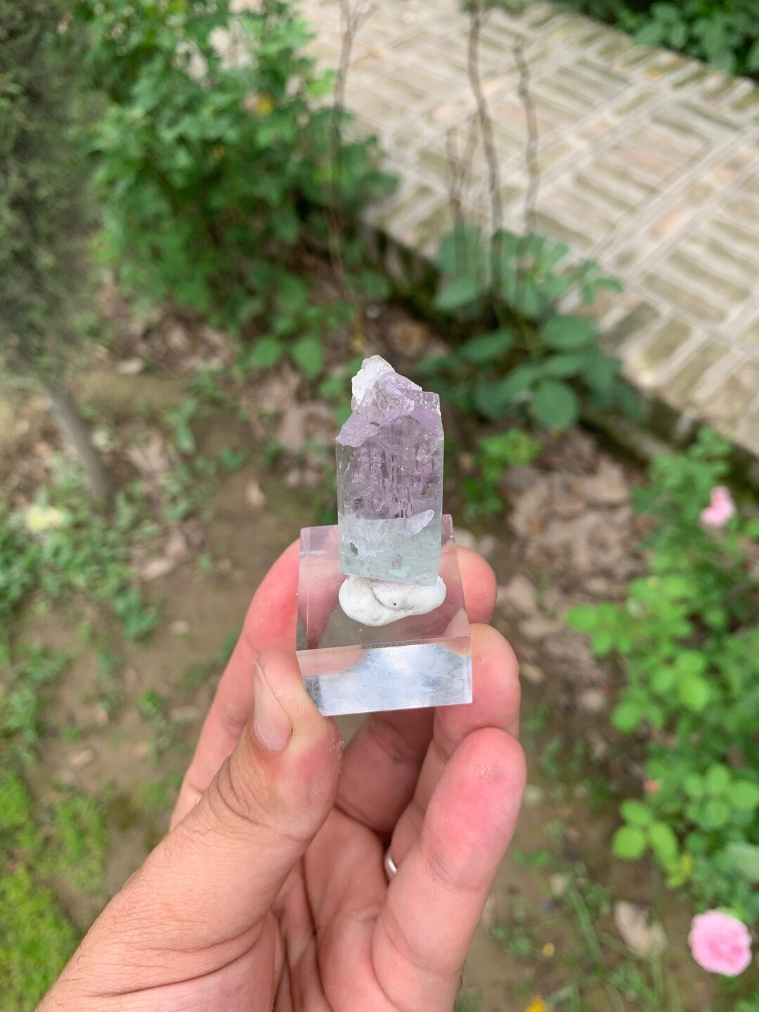 Spodumene Var Bi-color Pink/purple & Blue Kunzite Terminated Crystal ...