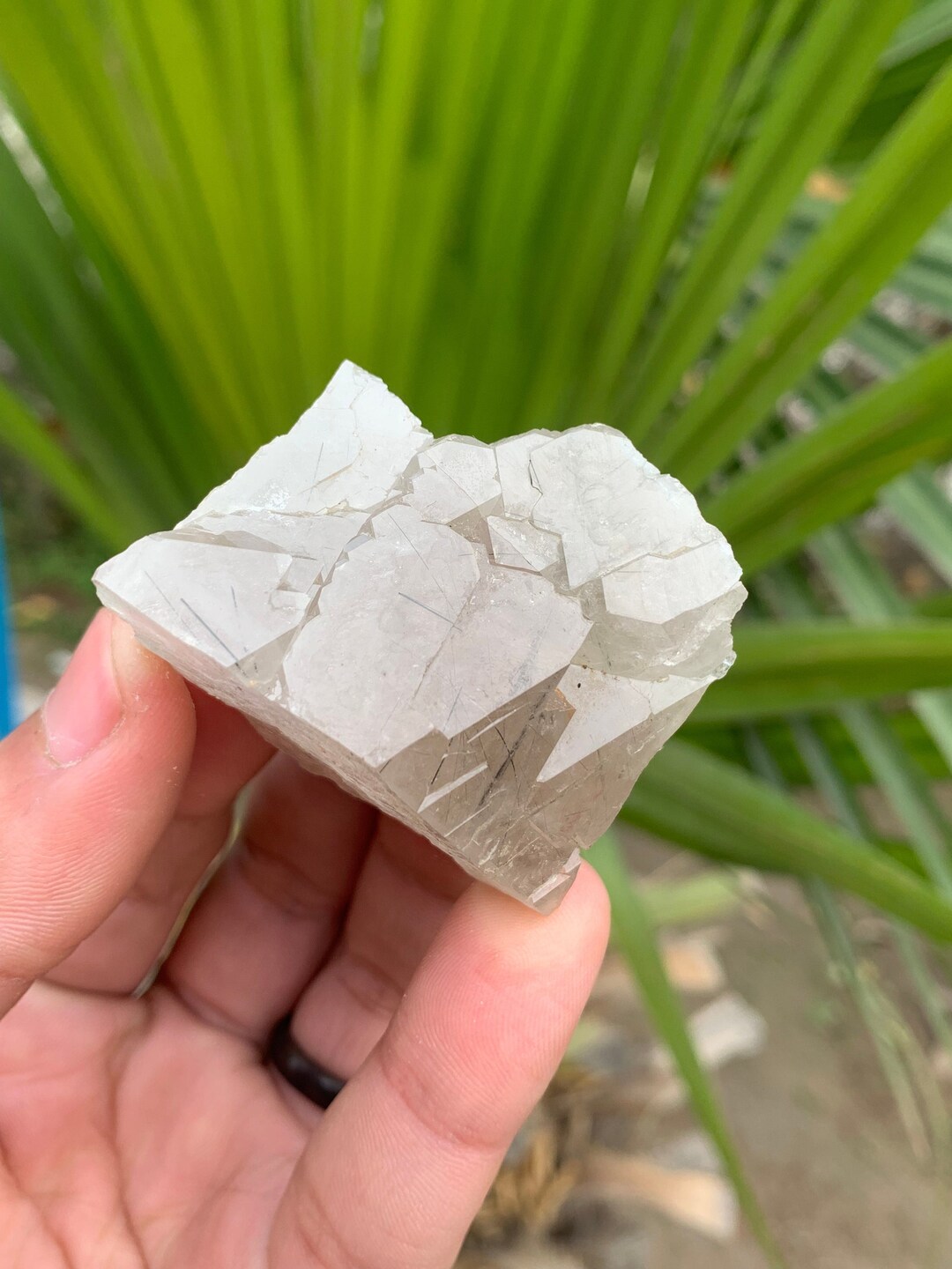 Rare Quartz Crystal With Green Riebeckite / Rutile / Aegirine ...