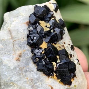 Rare Black Andradite Crystals Bunch Sitting on Albite Combine Specimen ...
