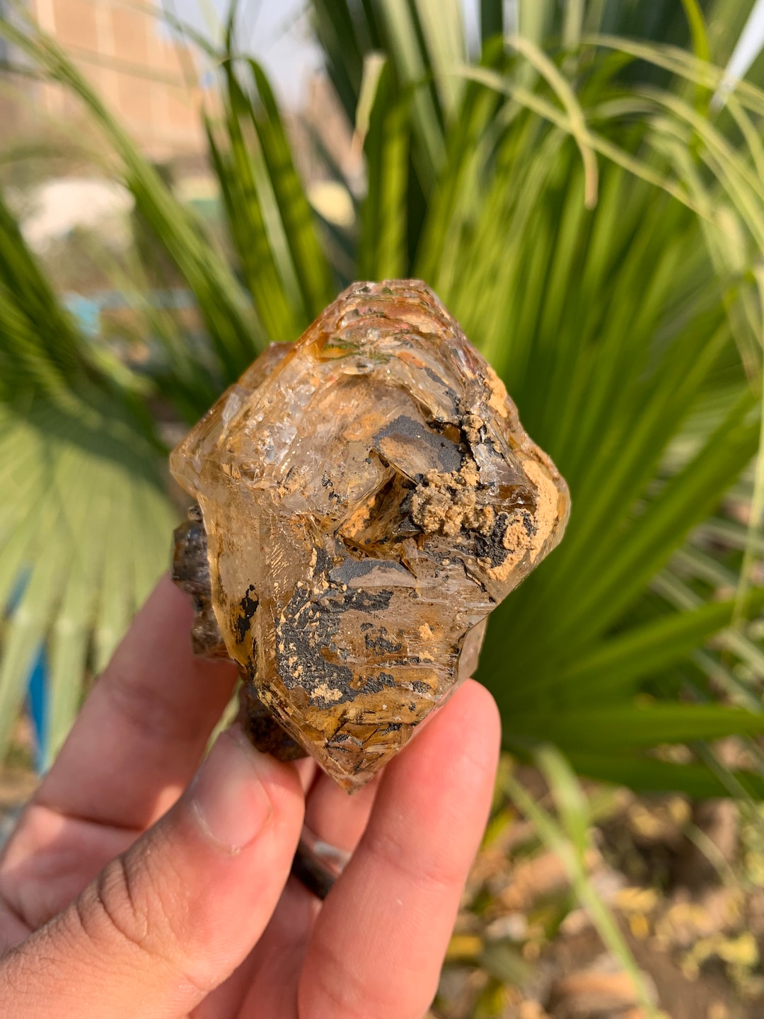 Fenster Quartz / Skeletal Quartz / Window Quartz Perfect Crystal With ...