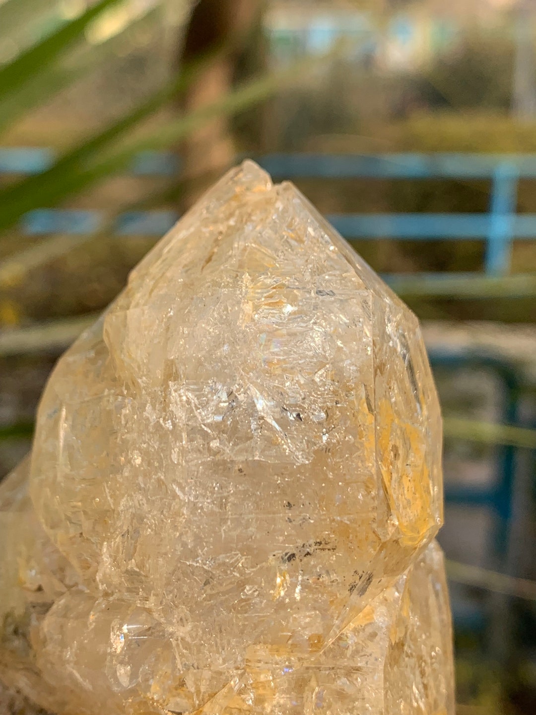 Fenster Quartz / Skeletal Quartz / Window Quartz Perfect Crystal With ...