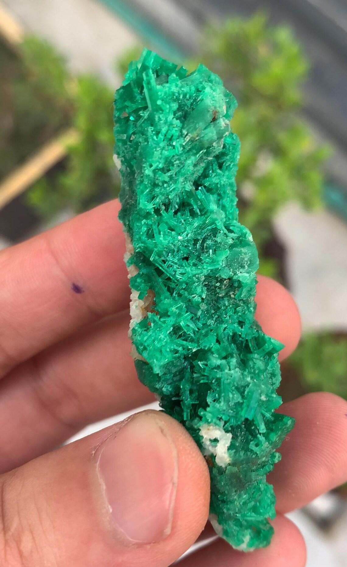 Emerald Terminated Crystals Bunches Having Sharp Lustre & Clarity ...
