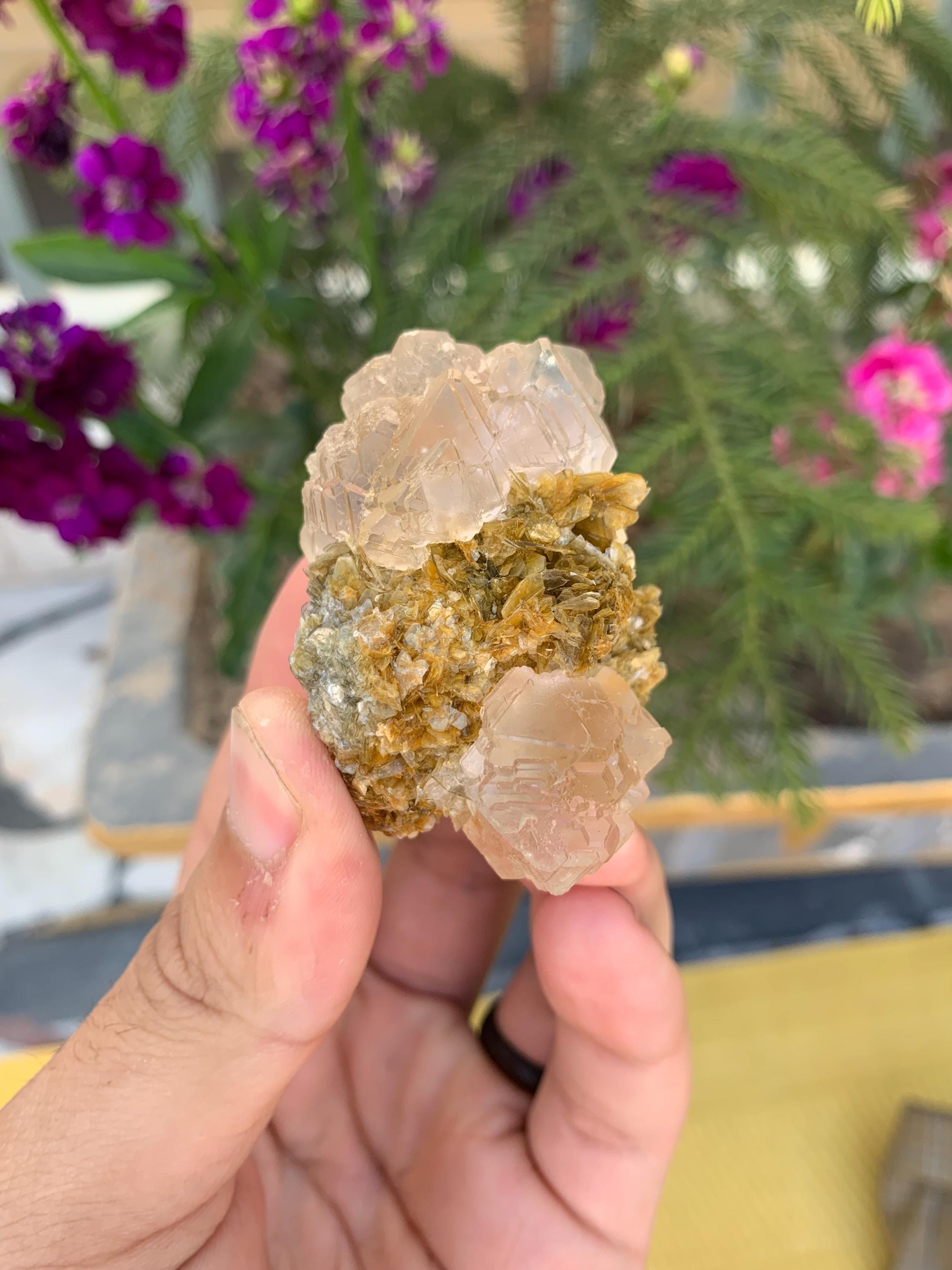 Rare Pink Fluorite Terminated Crystal Having Sharp Lustre on Muscovite ...