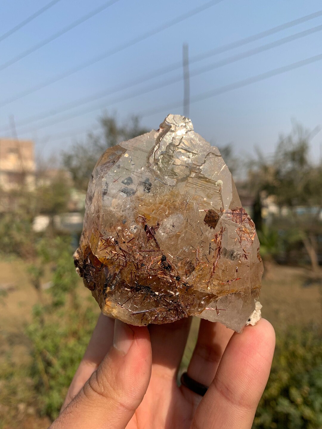Rare Quartz Crystal With Golden Rutile / Siderite / Muscovite ...