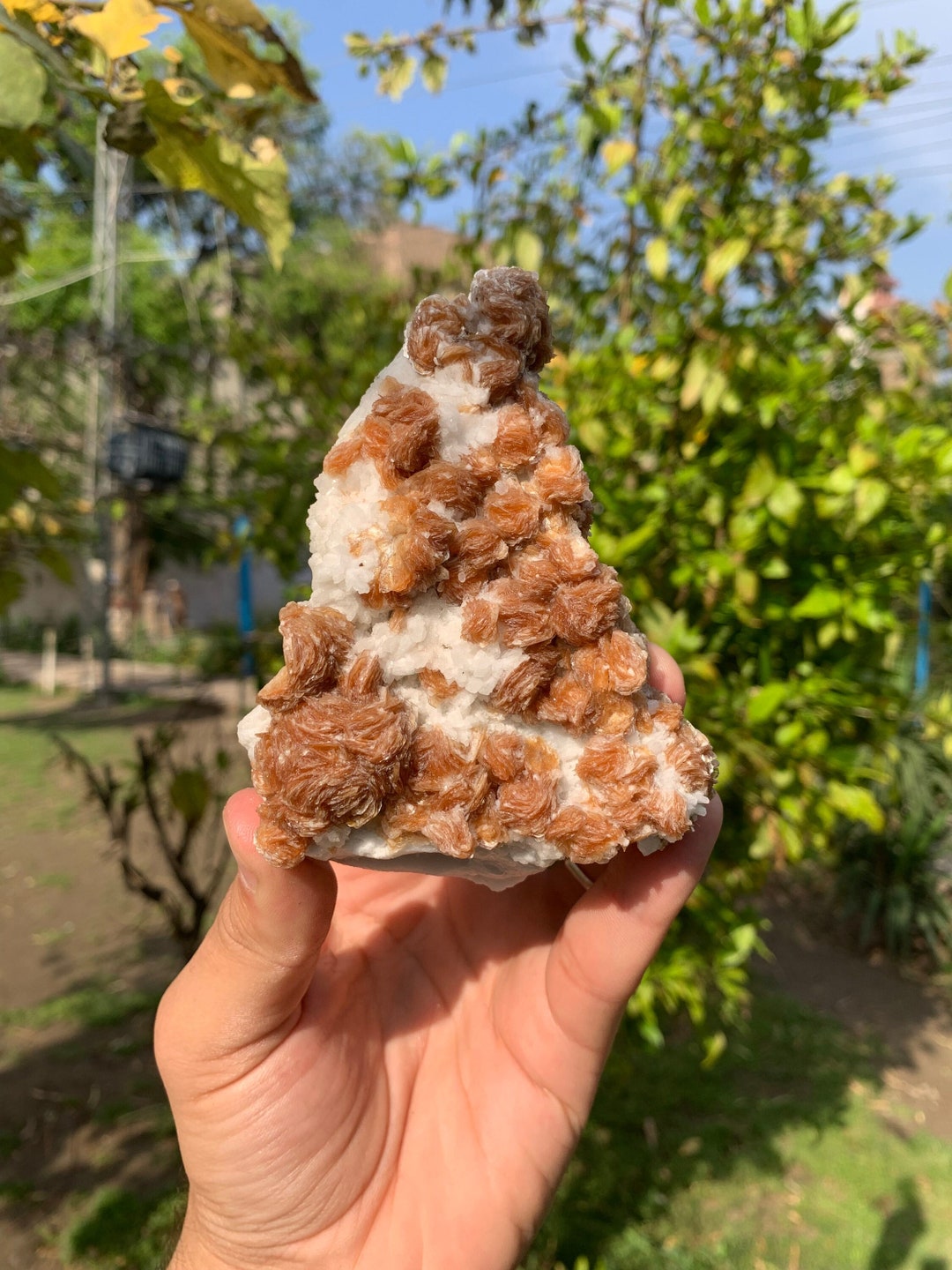 Phlogopite Golden Muscovite Flowers Bunches With Beryl Crystals Combine ...