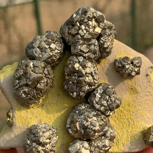 Rare Cubic Pyrite Crystals Botryoidal Shape Balls Sitting on Yellow ...