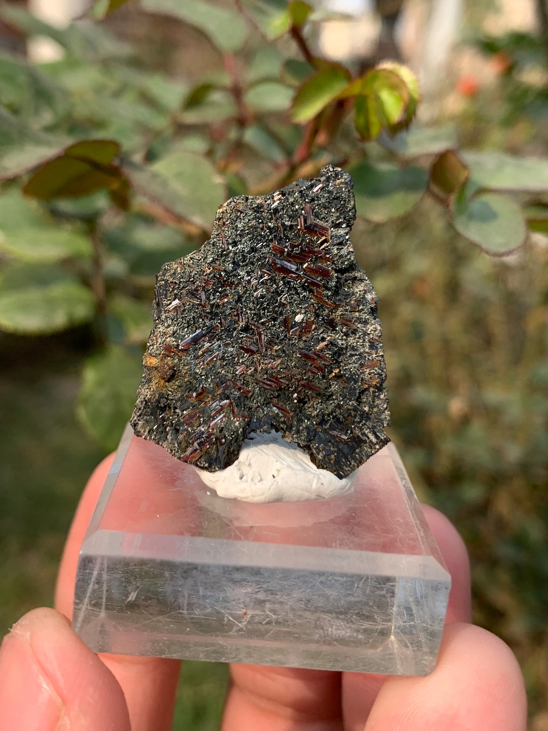 Hematite Crystal With Rare Brown / Red Rutile Crystals on Surface ...