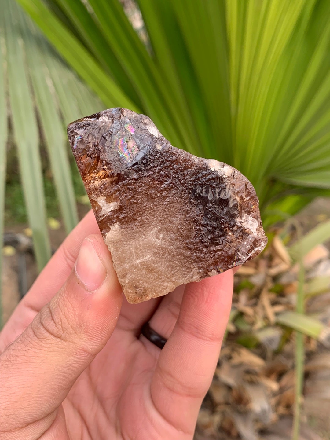 Golden / Brown Topaz Terminated Crystal With Rainbow / Iridescent ...