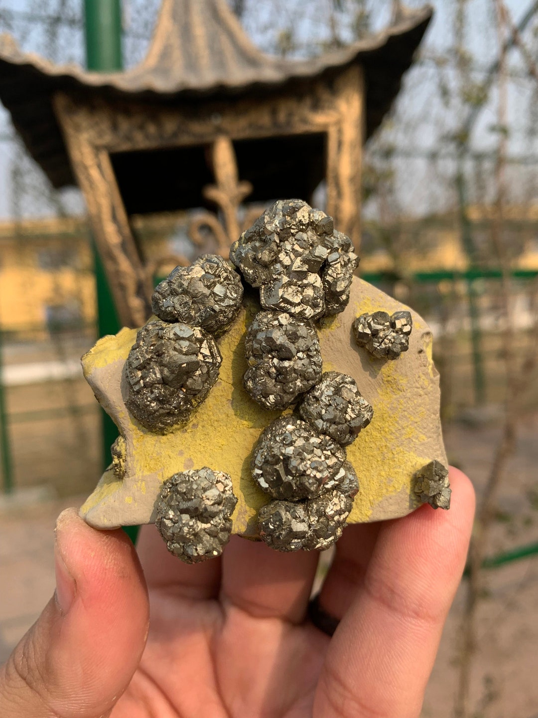 Rare Cubic Pyrite Crystals Botryoidal Shape Balls Sitting on Yellow ...