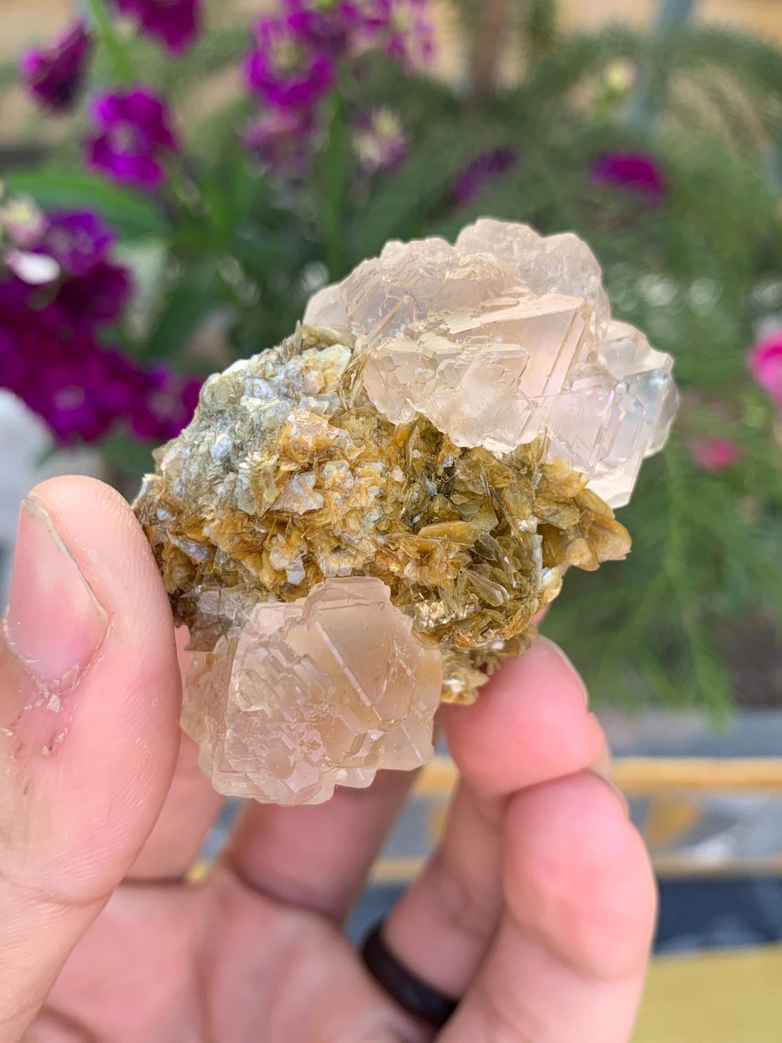 Rare Pink Fluorite Terminated Crystal Having Sharp Lustre on Muscovite ...