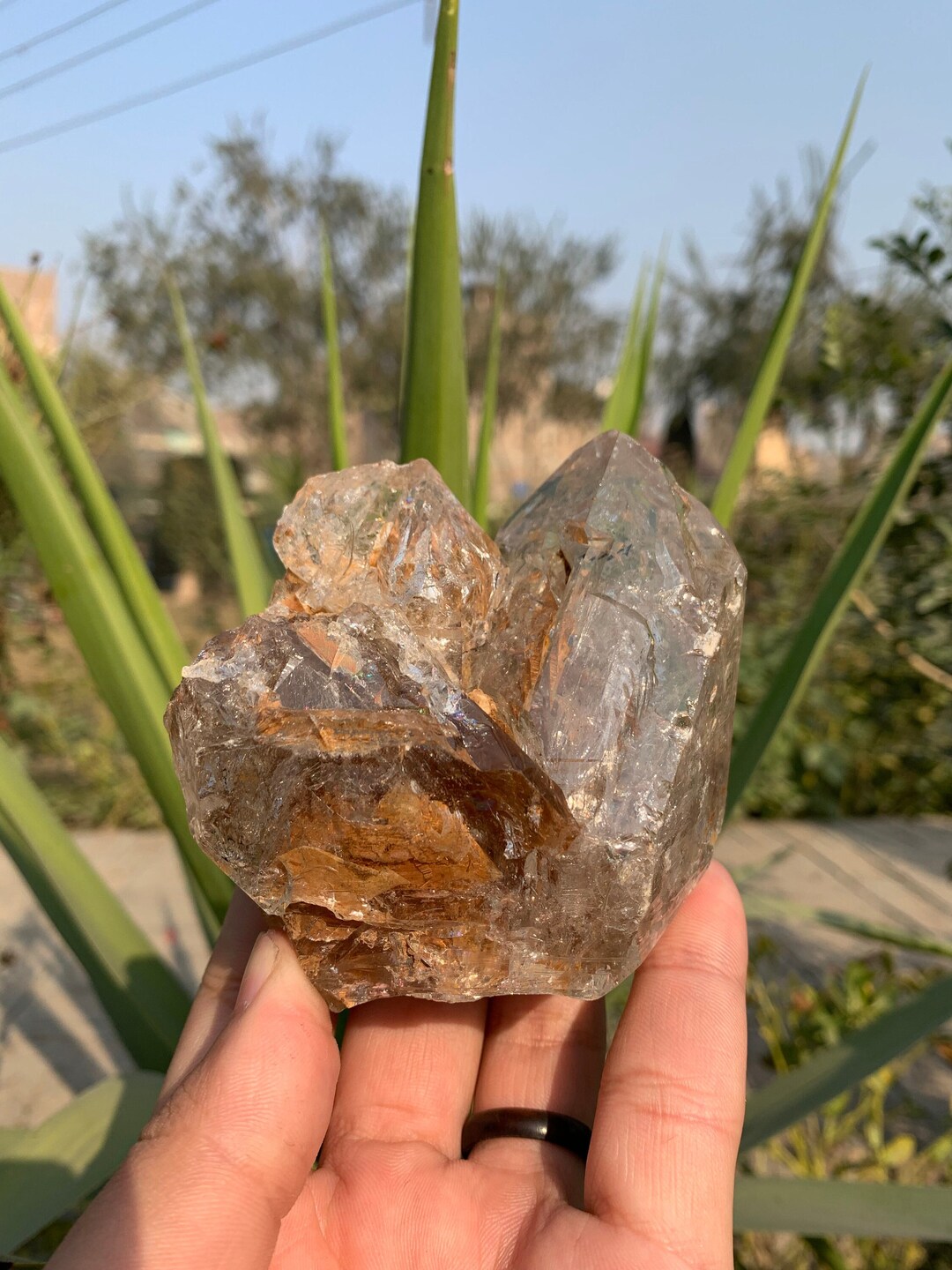 Window Quartz / Skeletal Quartz / Fenster Quartz Crystal With Brown ...