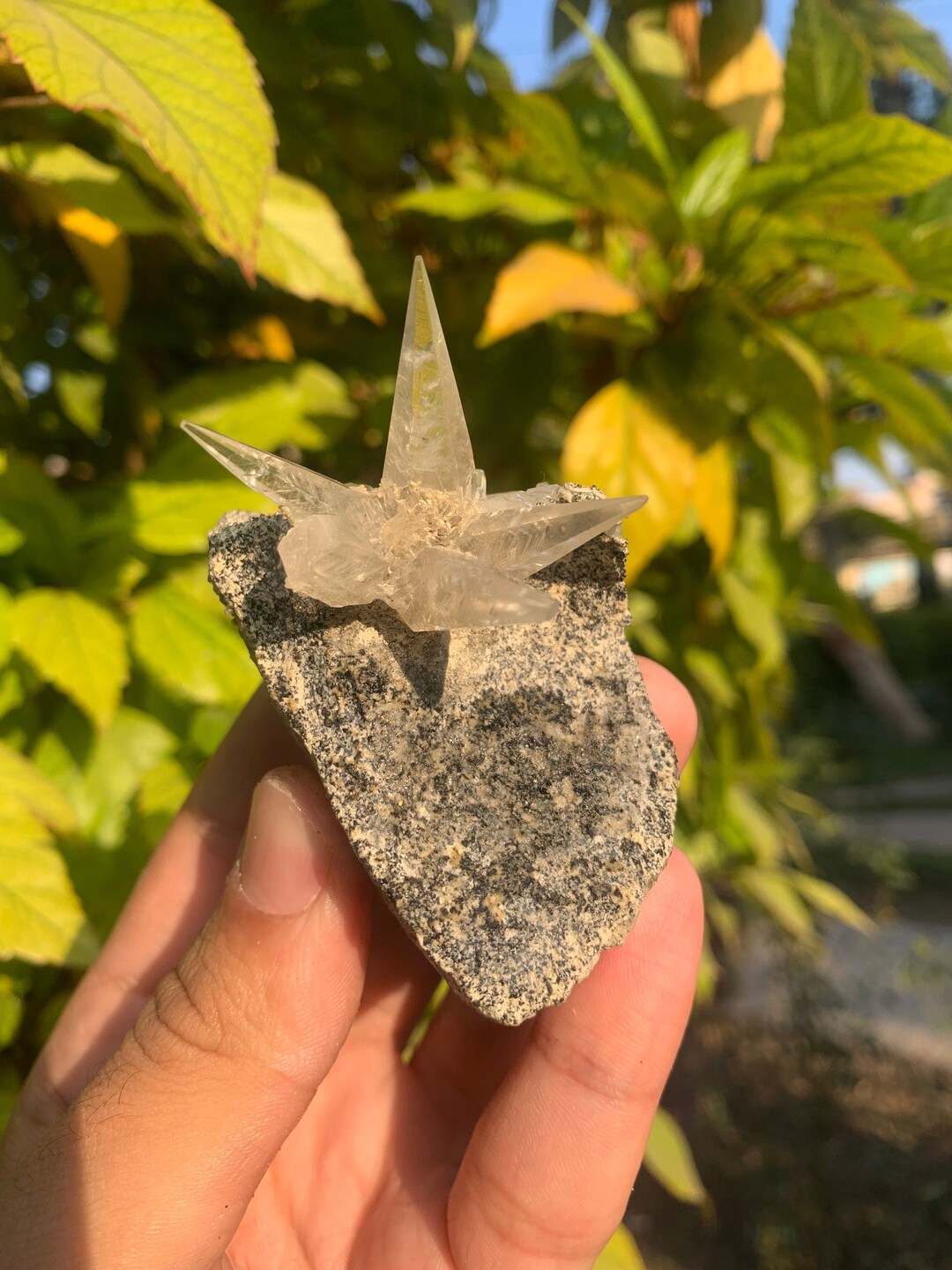 Aesthetic White Calcite Crystals Flower Grew up on Matrix / Mother Rock ...