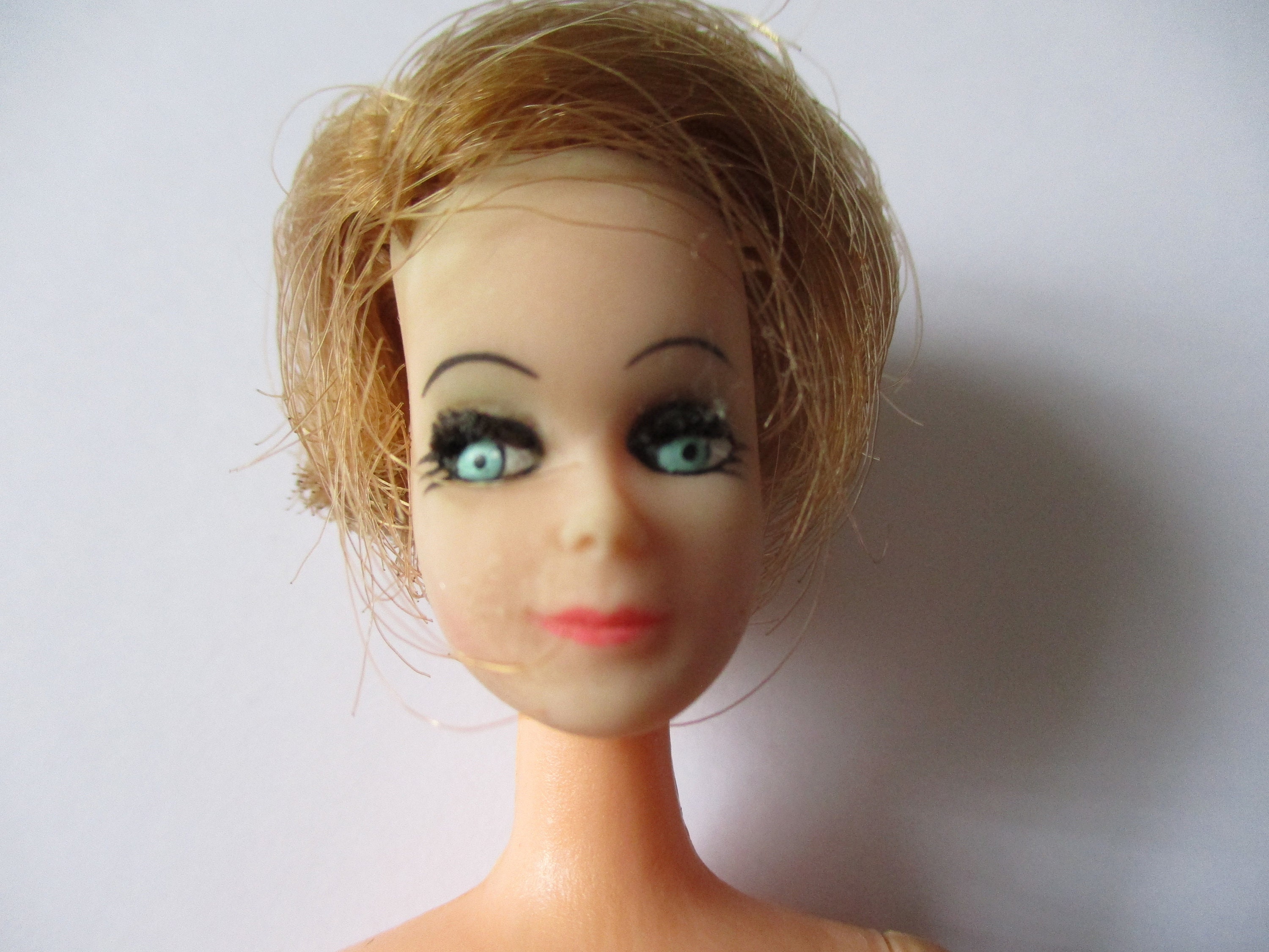 Patricia Topper's Instagram, Twitter & Facebook on IDCrawl