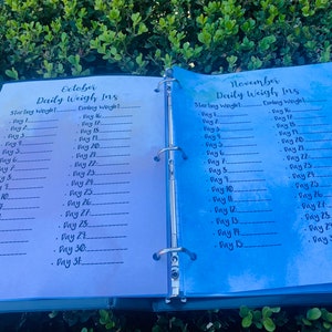 PRINTABLE Daily Weigh in Sheet - Etsy