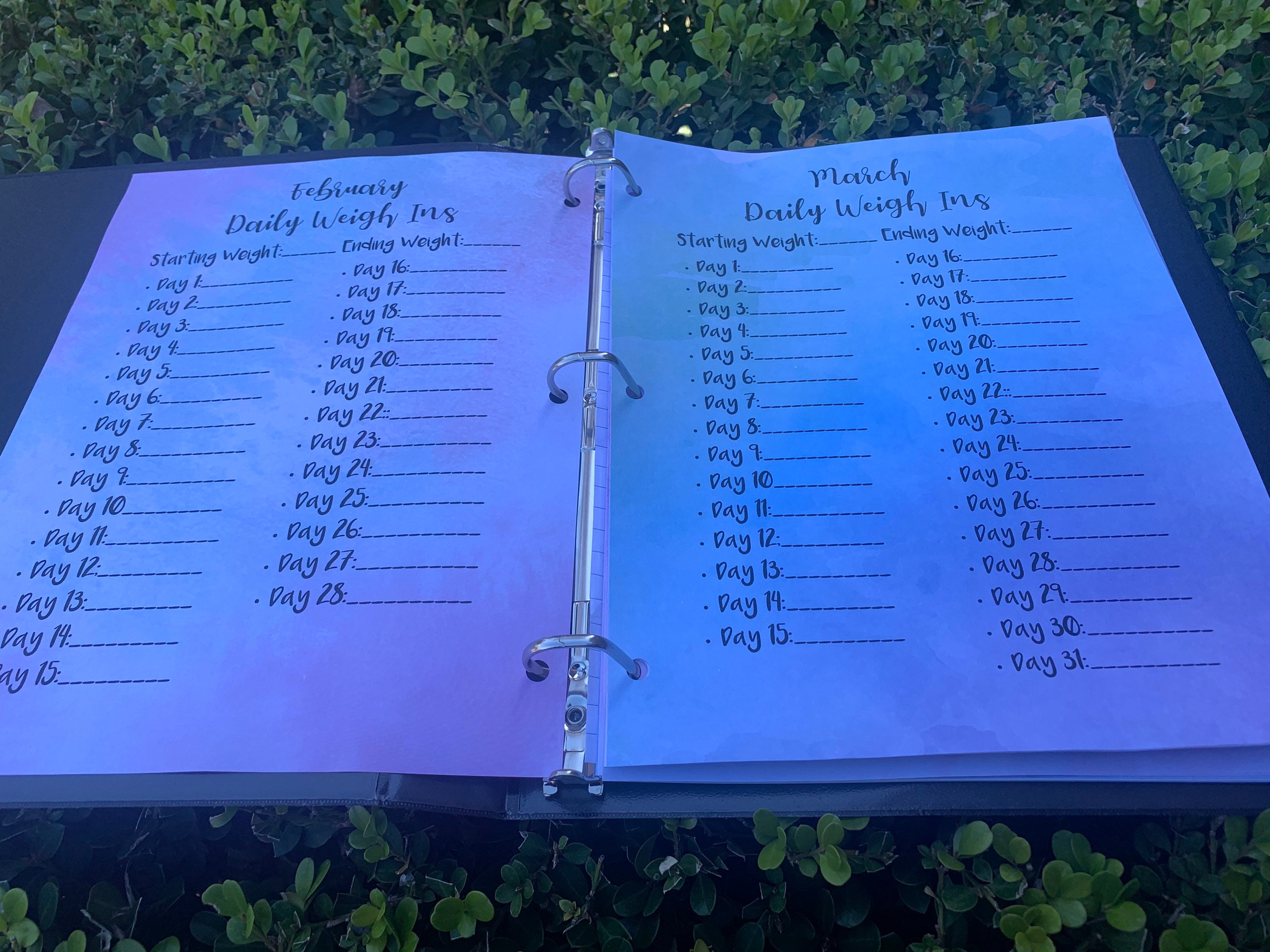 PRINTABLE Daily Weigh in Sheet - Etsy