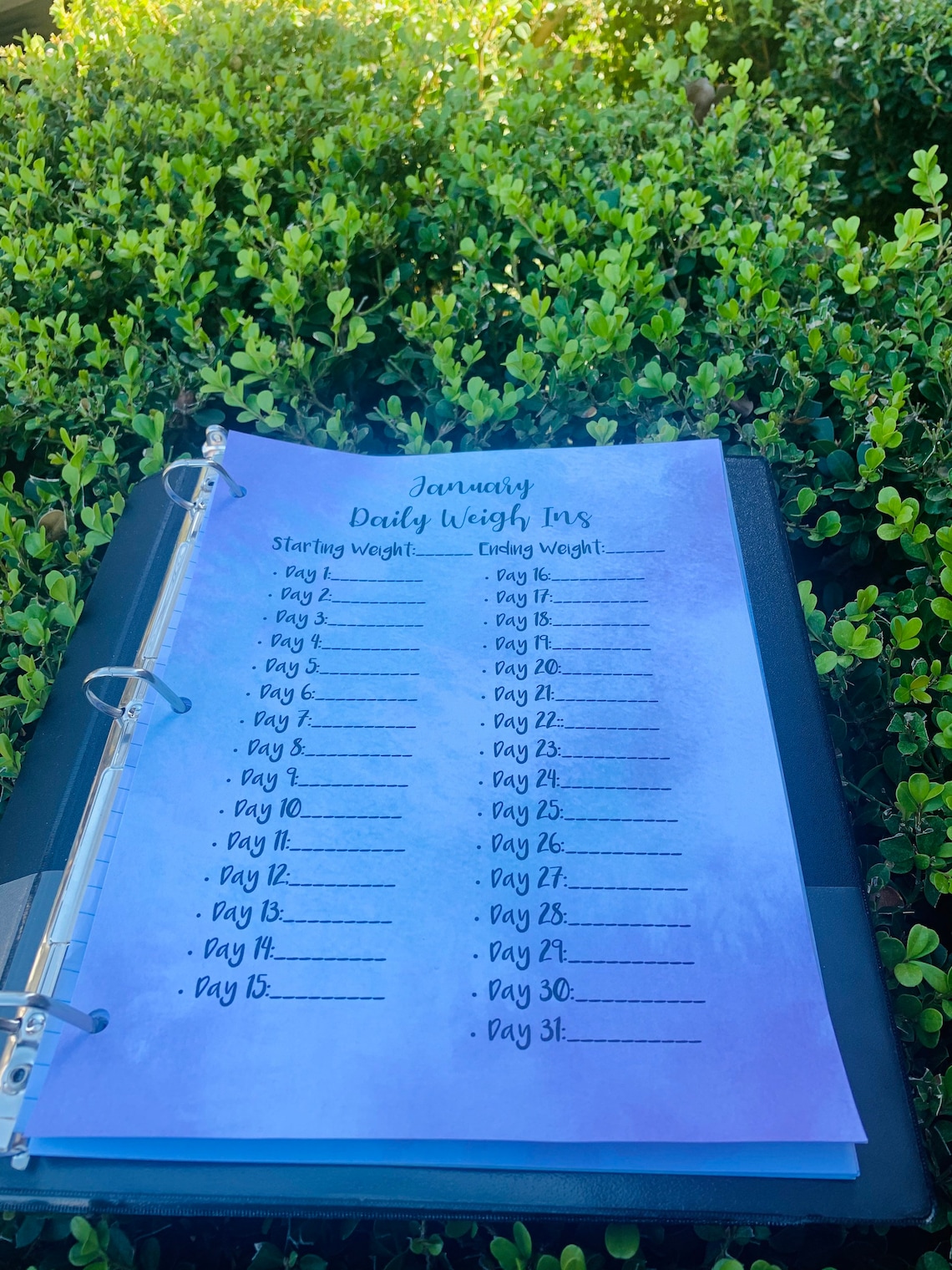 PRINTABLE Daily Weigh in Sheet - Etsy