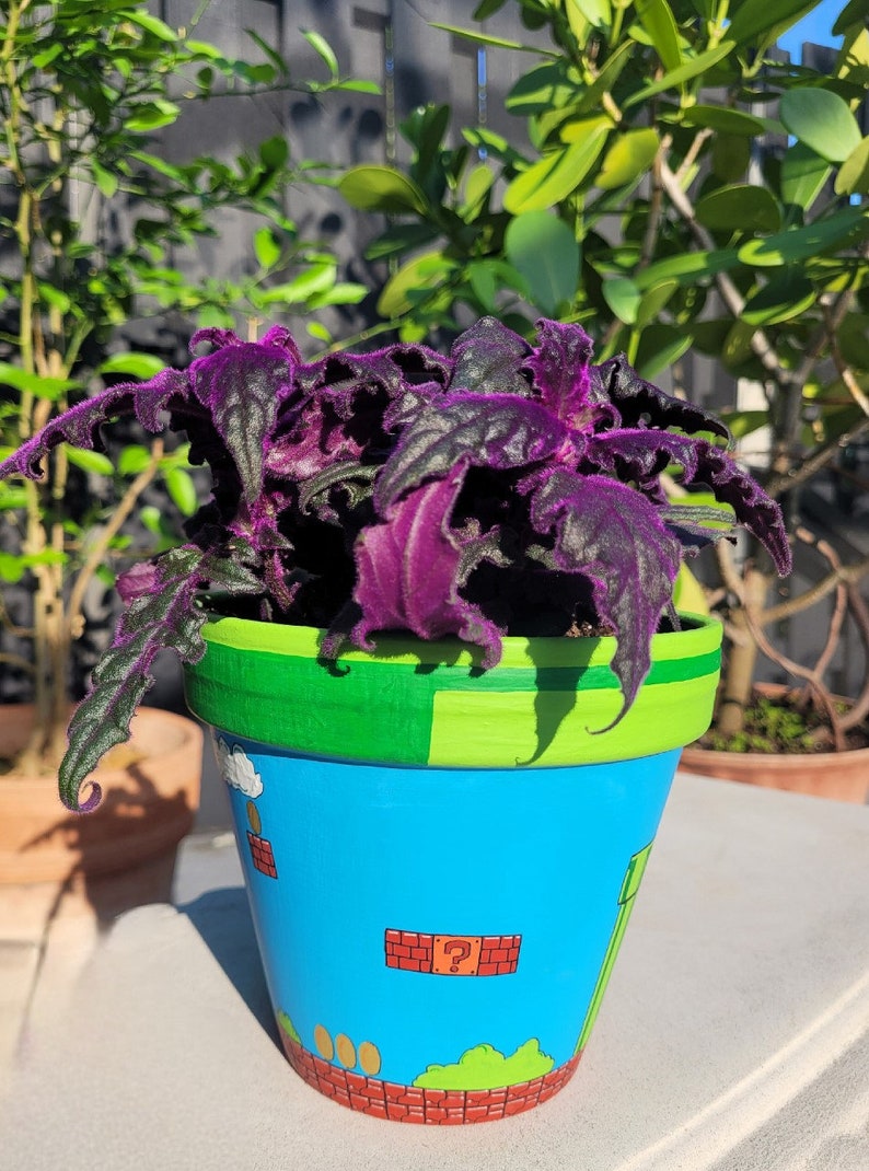 Mario Planter Pot (7"w X 4"h X 4"b) (this Pot is Wider Towards the Top ...