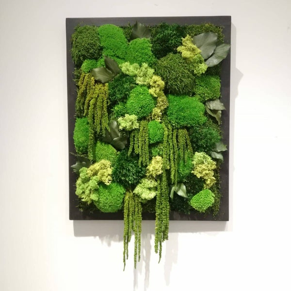 Moss Frame - Etsy