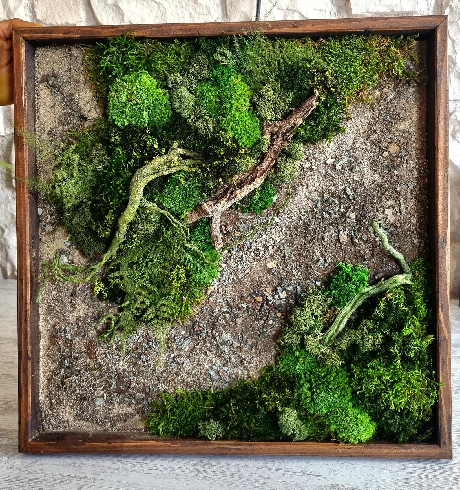 Handmade Reindeer Moss Wall Art | Preserved Botanical Frame | Forest ...