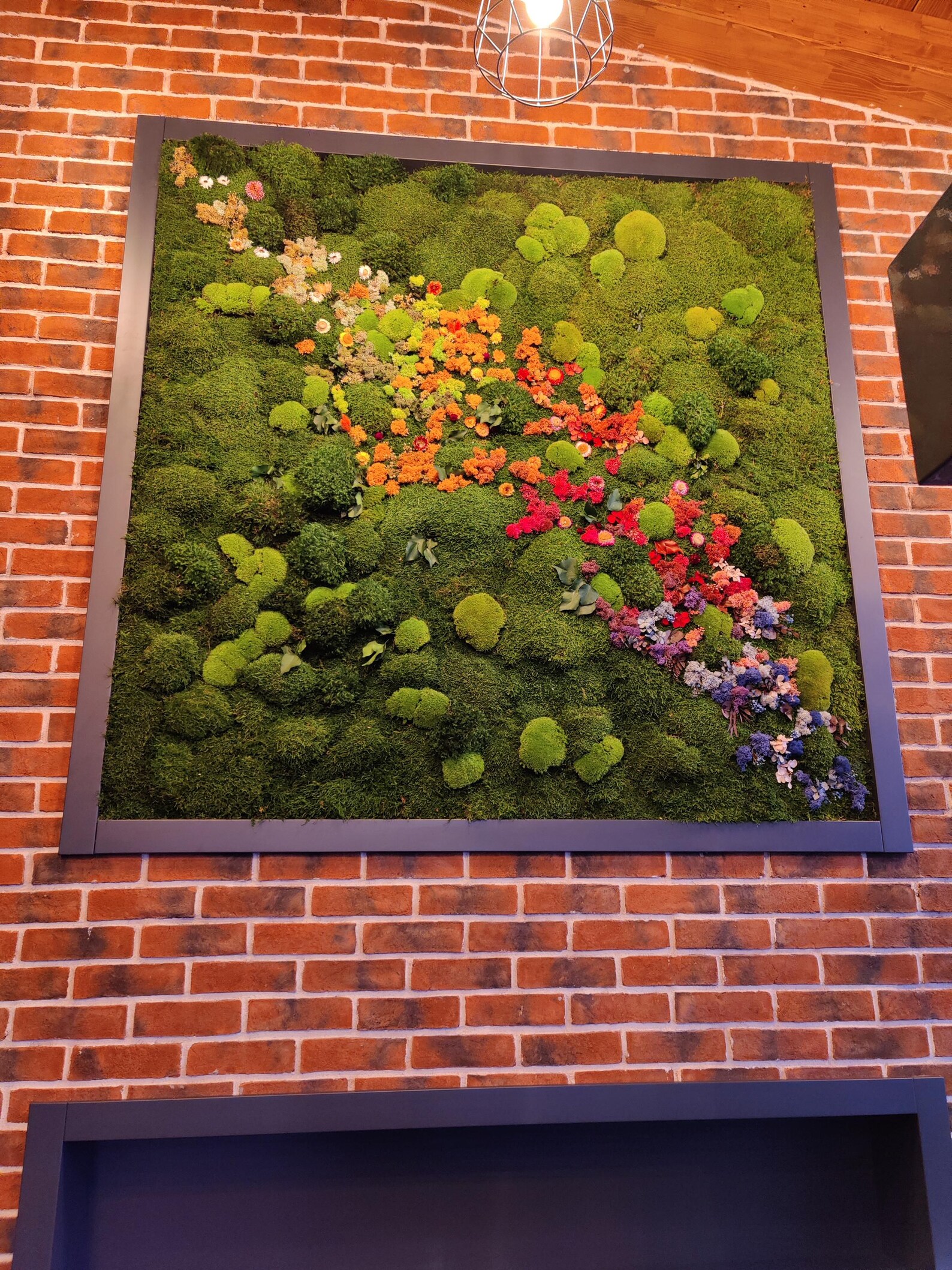 Preserved Moss Wall Art | Rainbow Gradient Botanical Decor | Eco ...