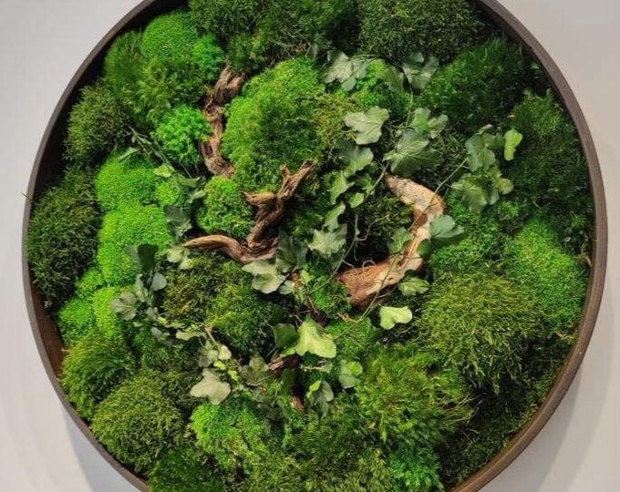 LIVE MOSS Artwork/ LIVE Cushion Moss Table Centerpiece/ Handmade Living ...