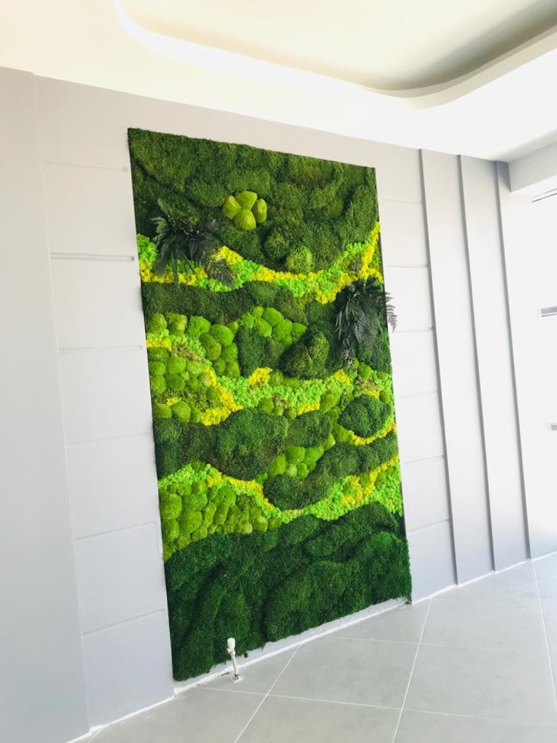 Moss Wall Art,moss Wall Decor,large Moss Frame, Wall Garden Moss ...